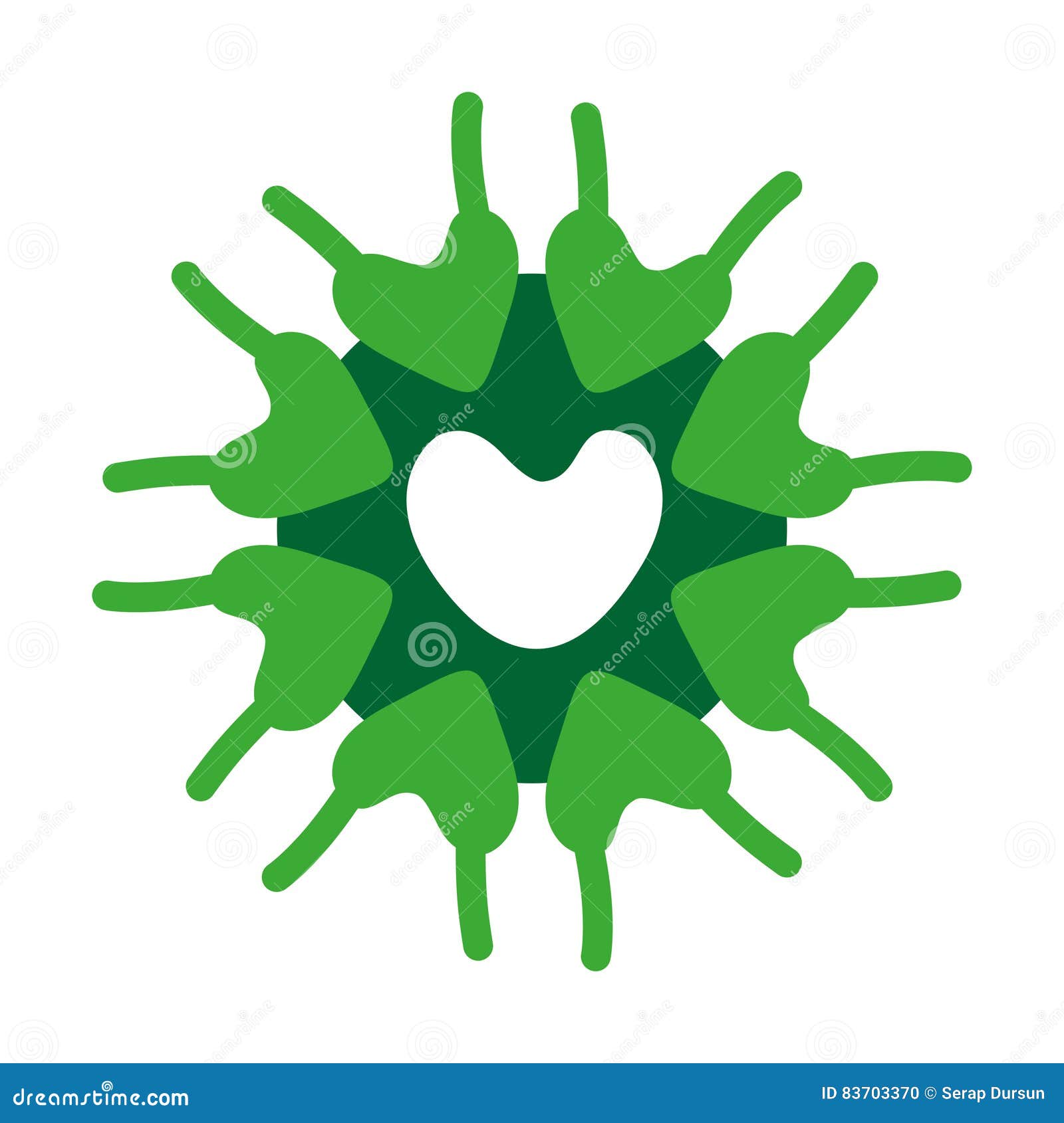 Green Algea Spirogyra, Structure Stock Photo | CartoonDealer.com #241400652