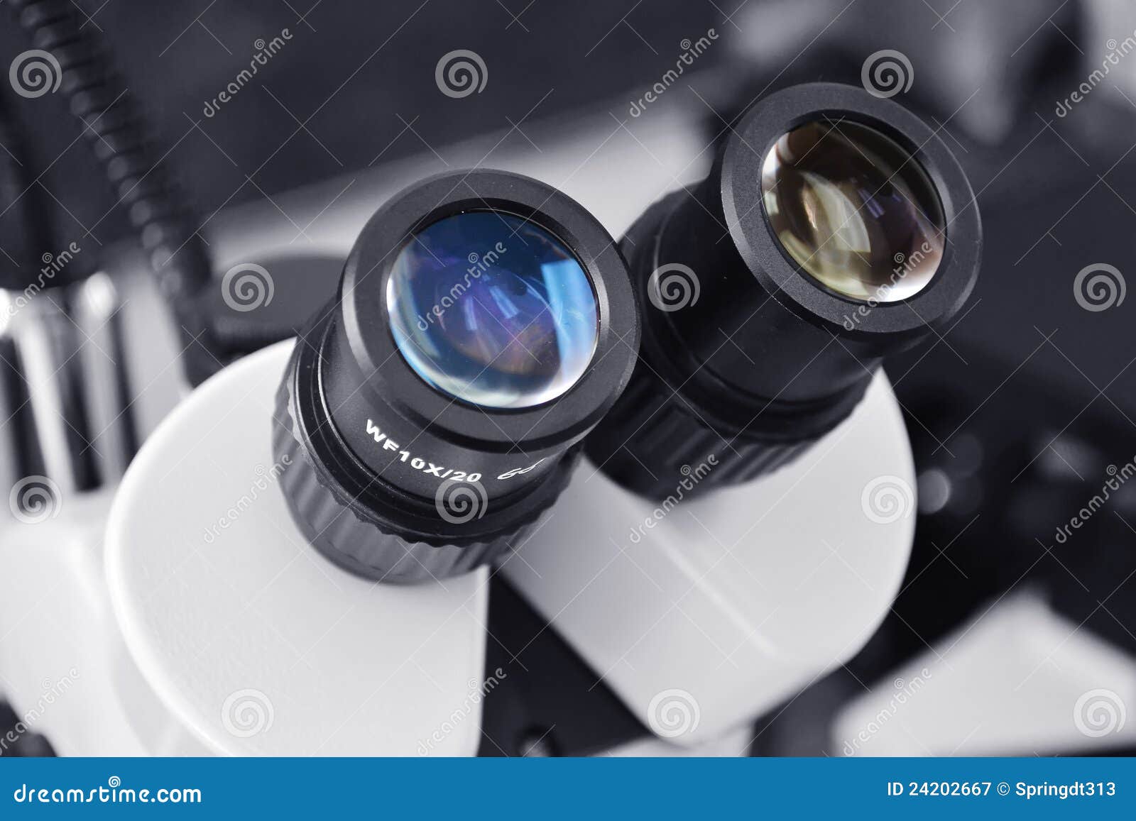 Microscope stock image. Image of macro, healthy, care - 24202667