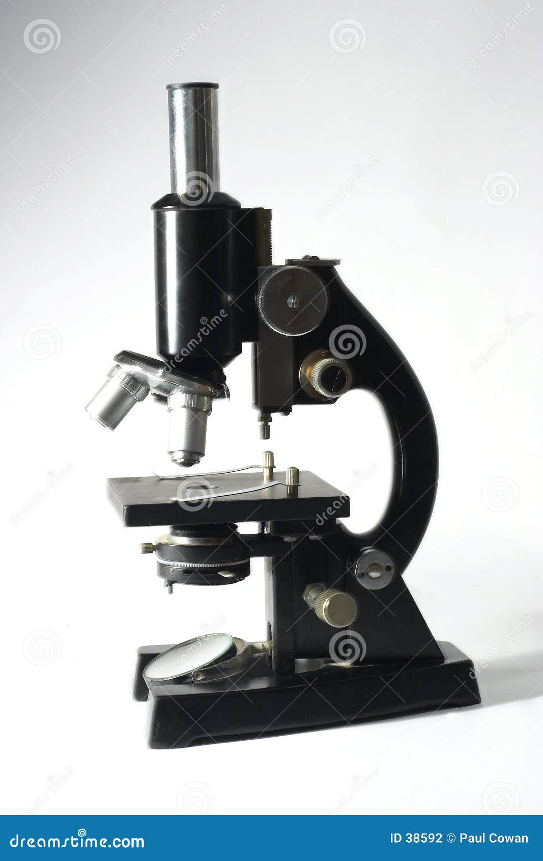 Microscope stock photo. Image of university, botany, biology - 38592