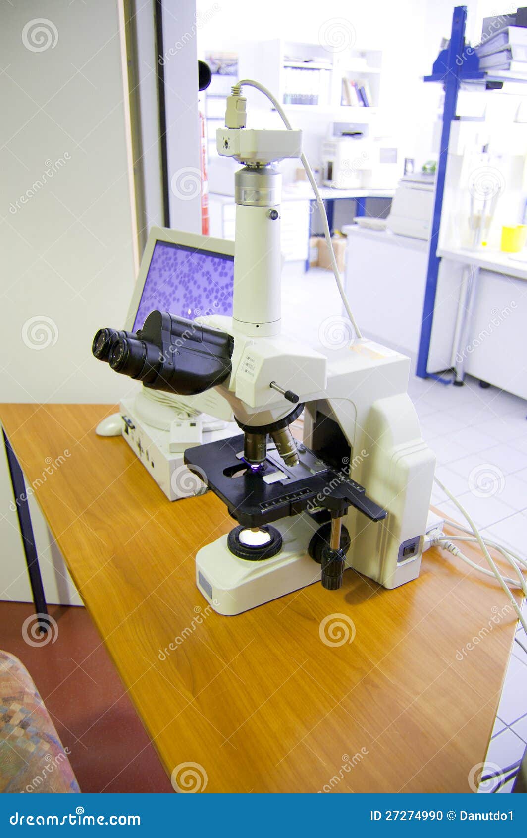 Microscope Analyzing Cells stock photo. Image of growth - 27274990