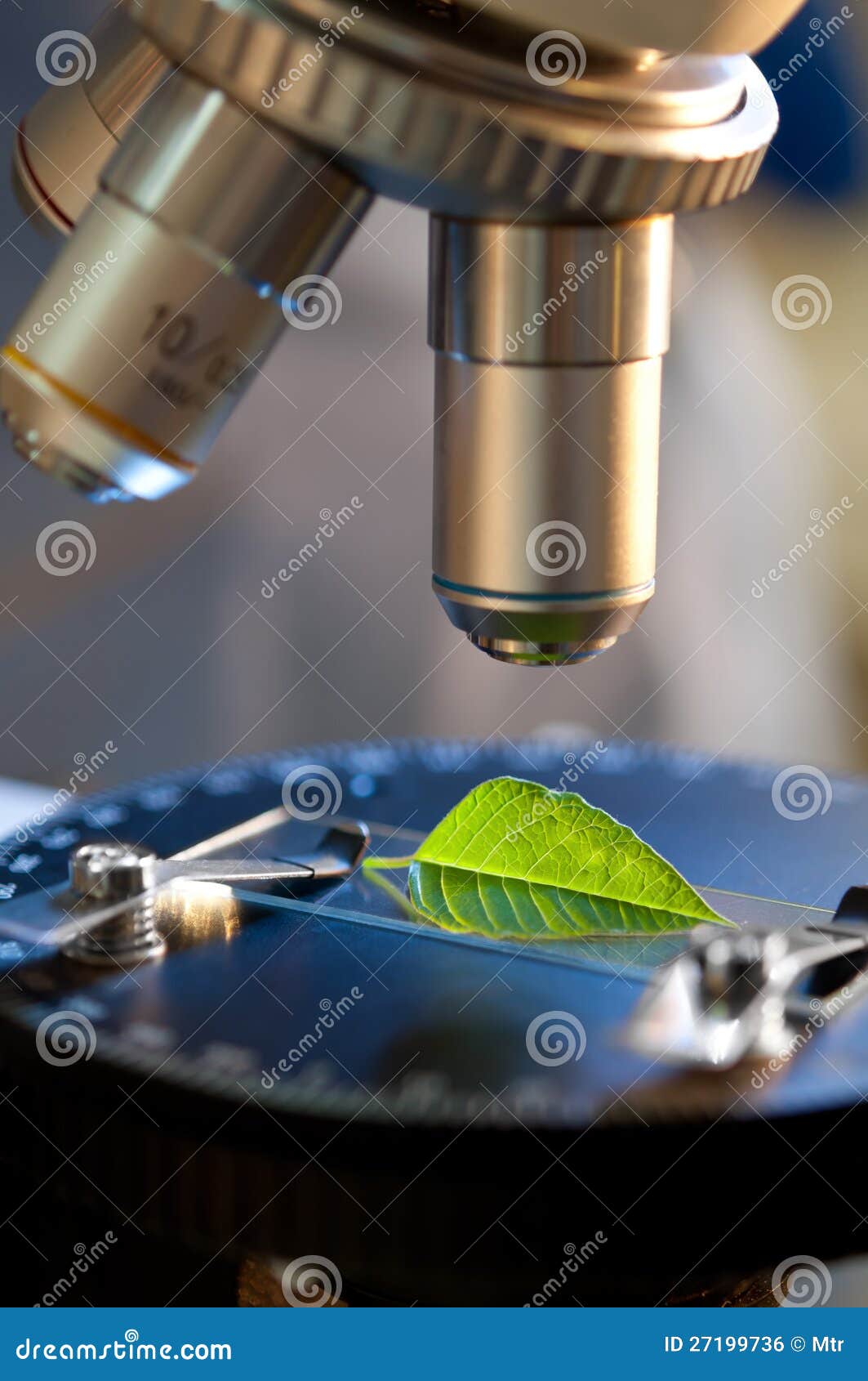 Microscope in Bio Laboratory Stock Photo - Image of green, analytic ...