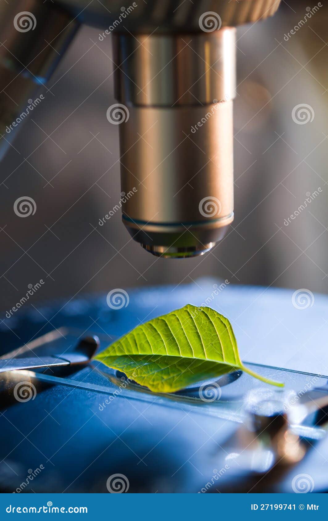 Microscope in Bio Laboratory Stock Image - Image of diesel, education ...