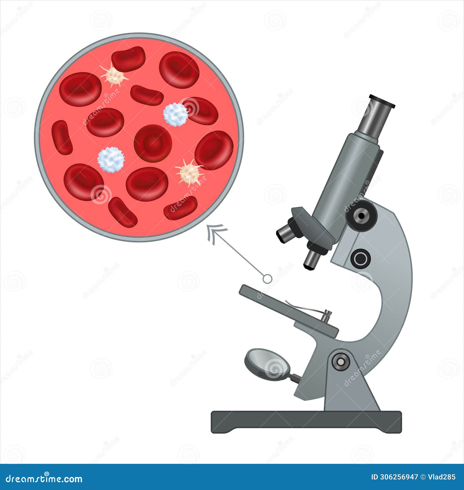 Microscope Viewing White Blood Cells Cartoon Vector | CartoonDealer.com ...
