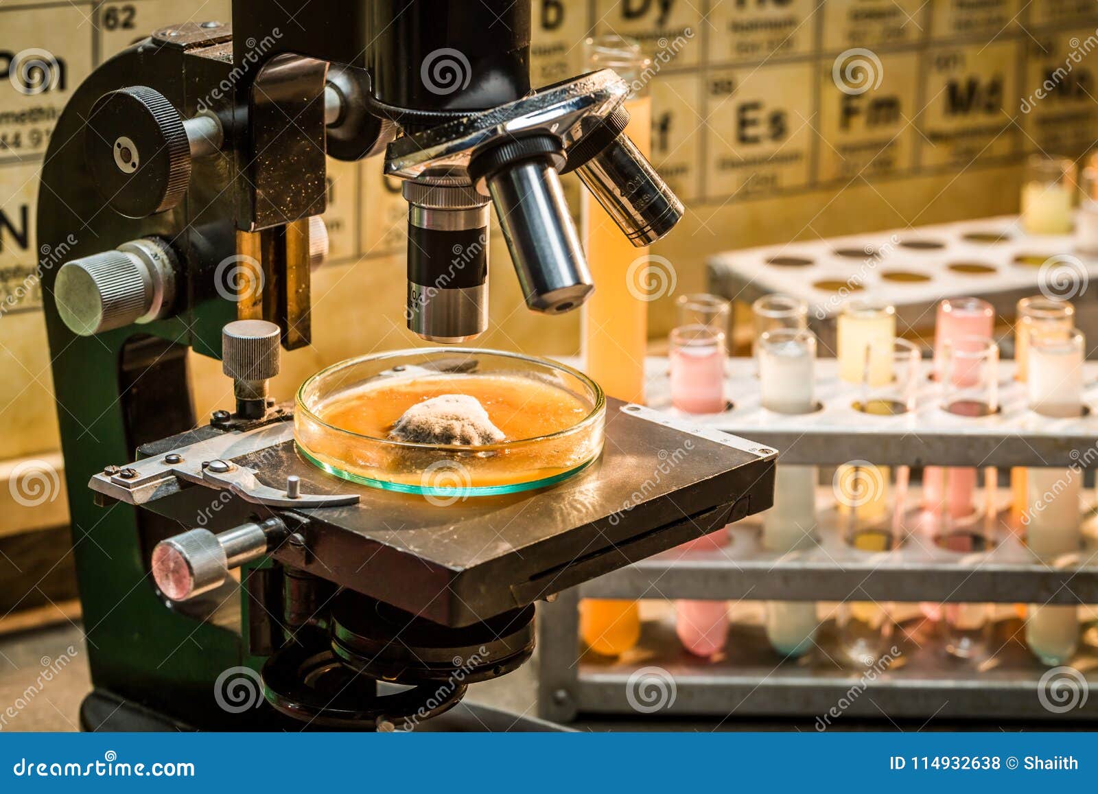 Microscope in Chemical Laboratory with Samples Stock Photo - Image of ...