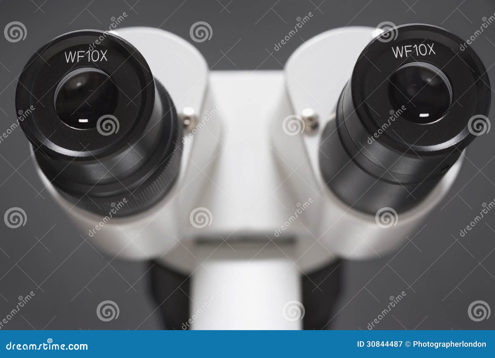 Microscope close-up stock image. Image of object, white - 30844487