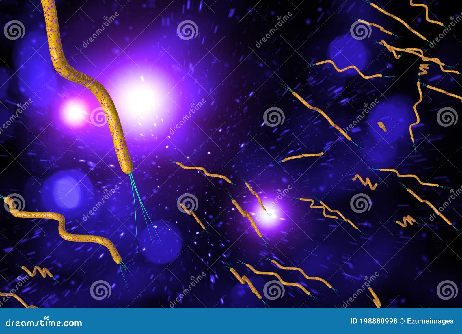 Spirilla Bacteria 3D Illustration Stock Illustration - Illustration of ...