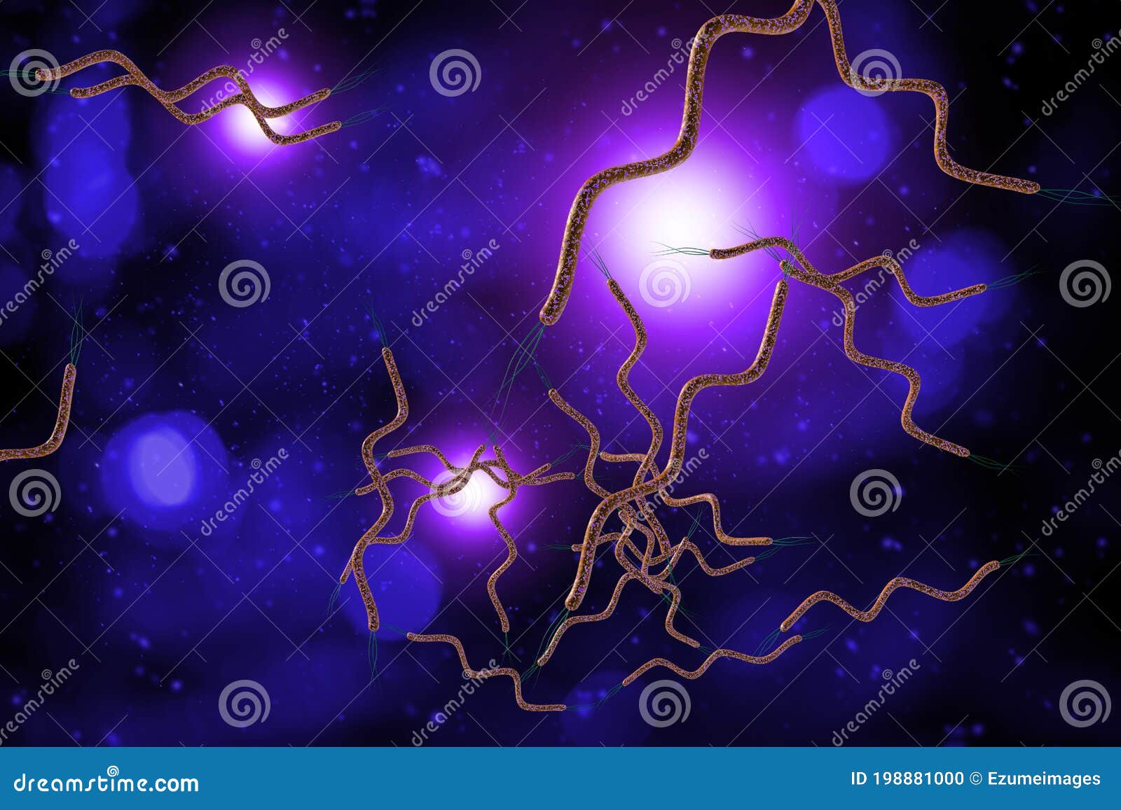 Spirilla Bacteria 3D Illustration Stock Illustration - Illustration of ...