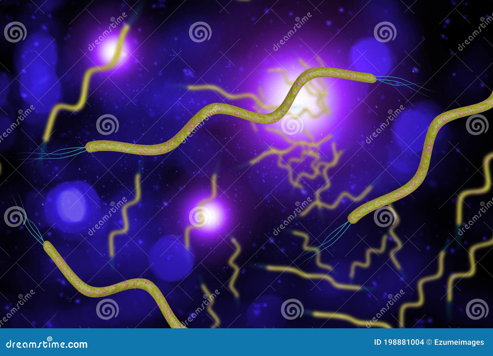 Spirilla Bacteria 3D Illustration Stock Illustration - Illustration of ...