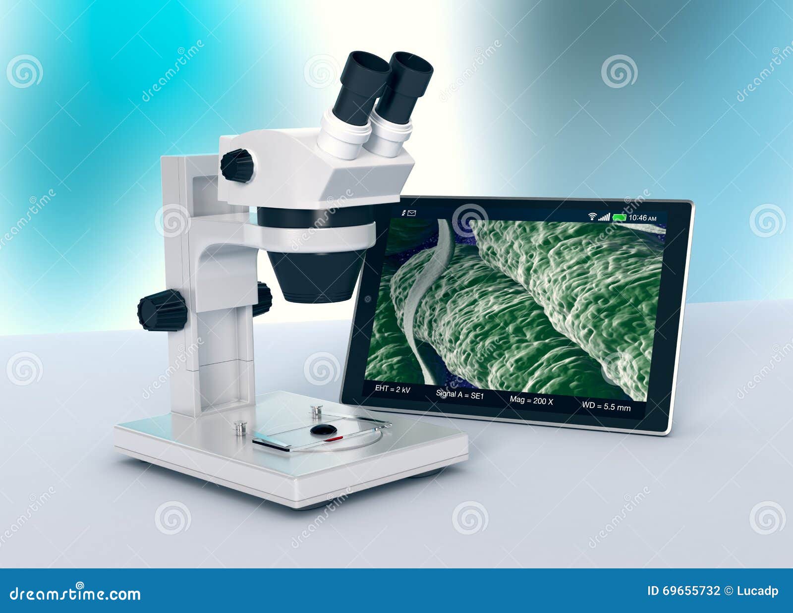 Microscope, Concept of Scientific Research and New Technologies Stock ...