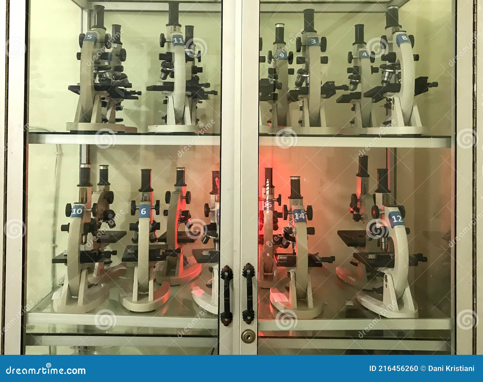 Microscope Cupboard Photos - Free & Royalty-Free Stock Photos from ...