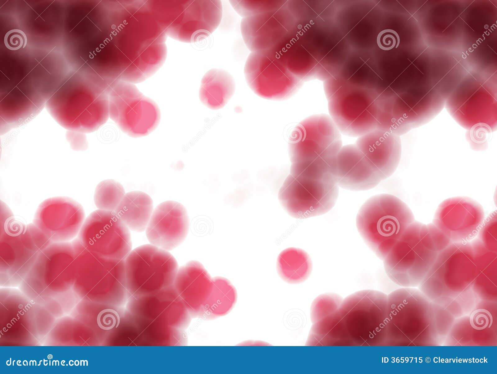 Microscope De Globules Rouges Illustration de Vecteur - Illustration du ...