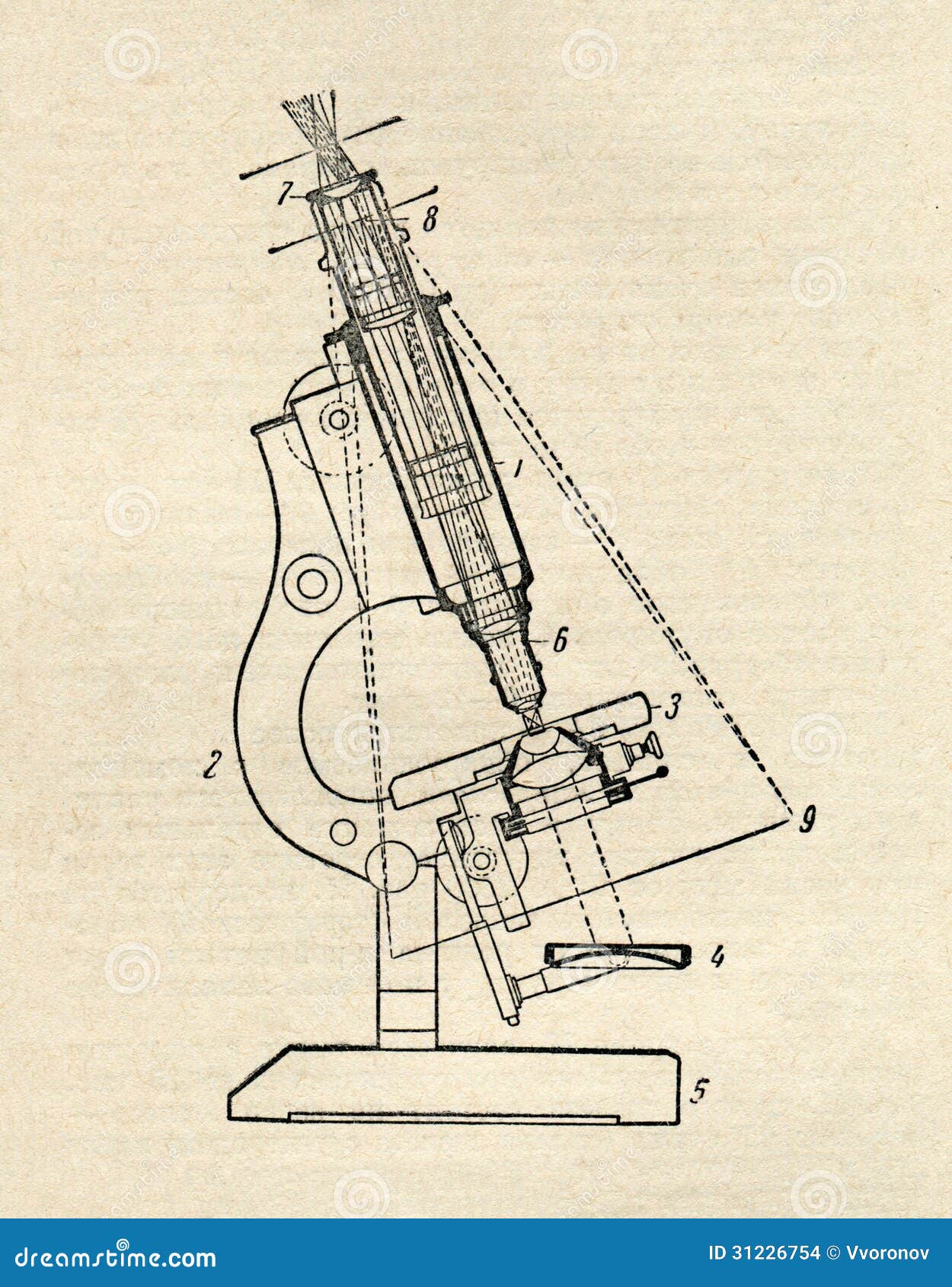 Microscope Diagram Vector Illustration. Labeled Zoom Instrument ...