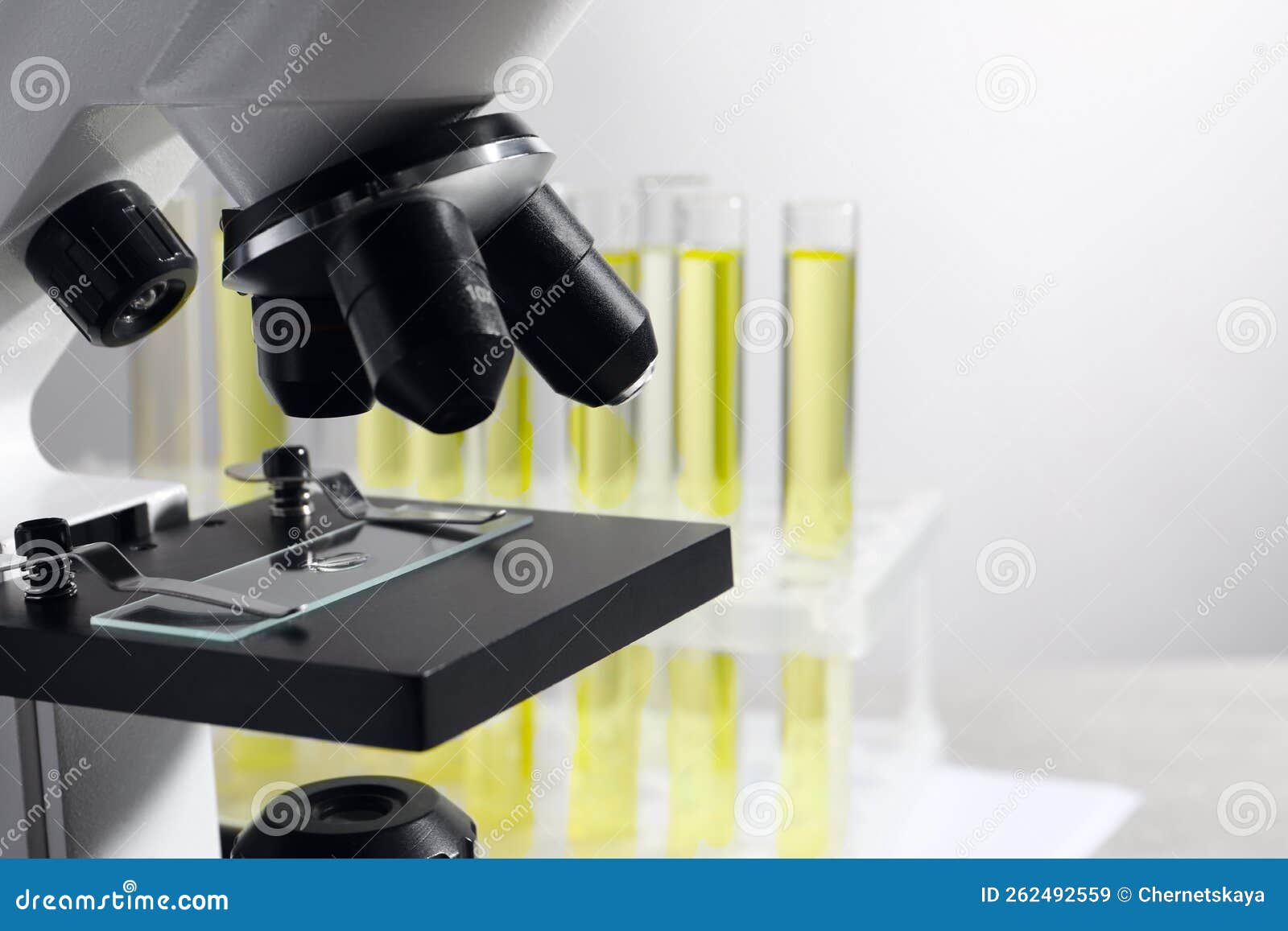 Bladder Microscope Slide