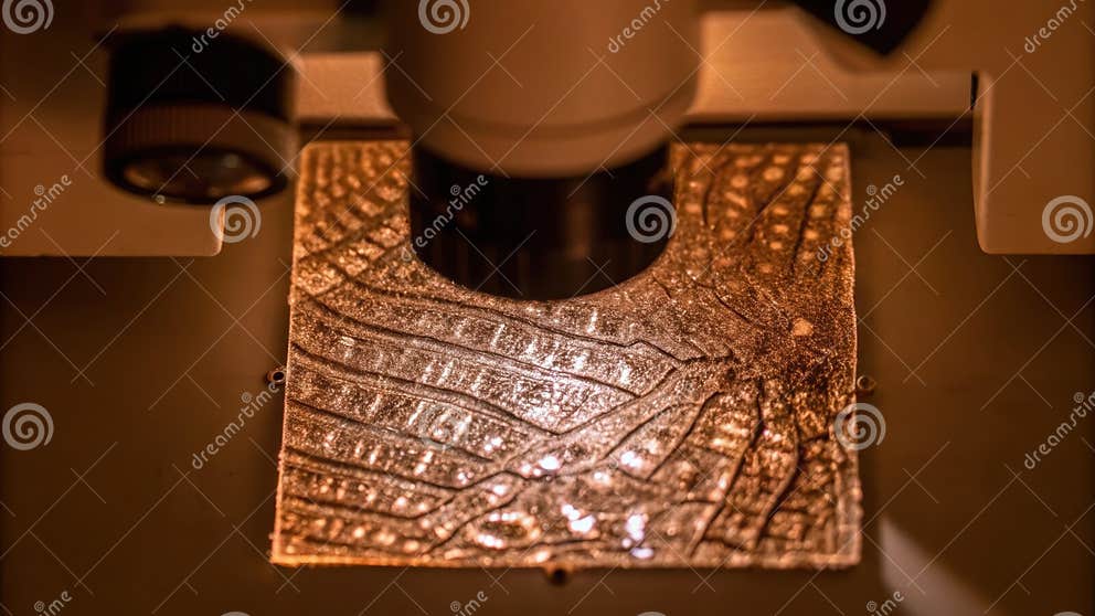 A Microscope Examining the Grain Structure of a Ceramic Sample ...