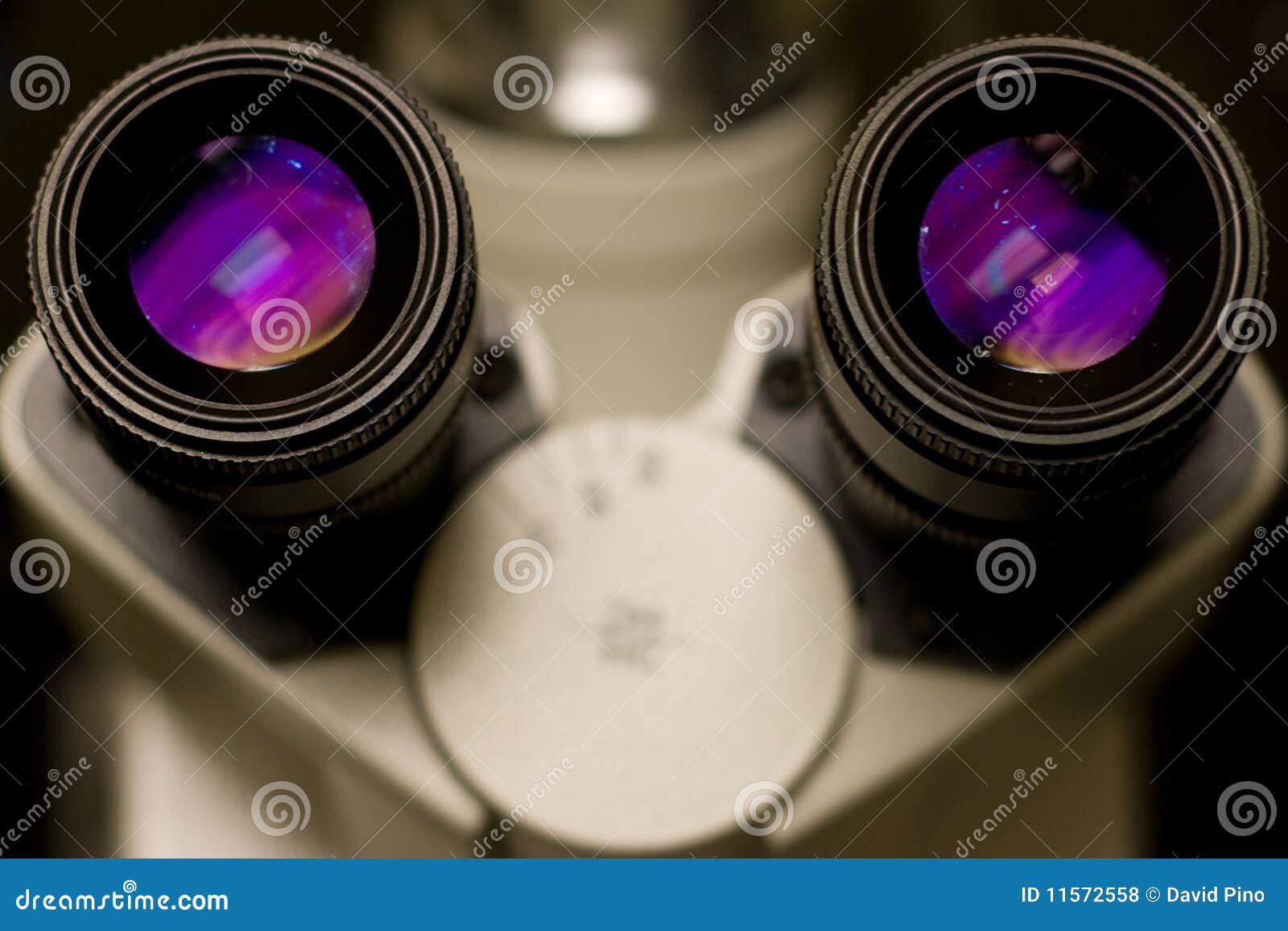 Microscope eye pieces stock photo. Image of laboratory - 11572558