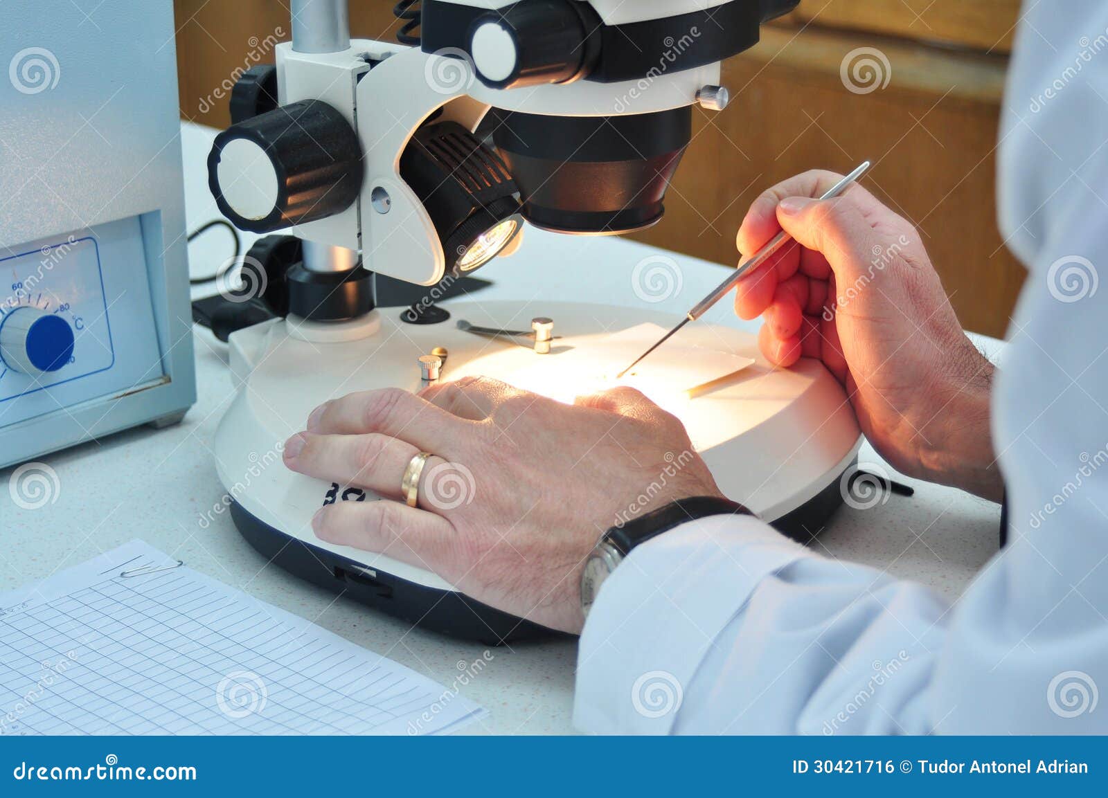 Microscope hands stock photo. Image of biology, scientific - 30421716
