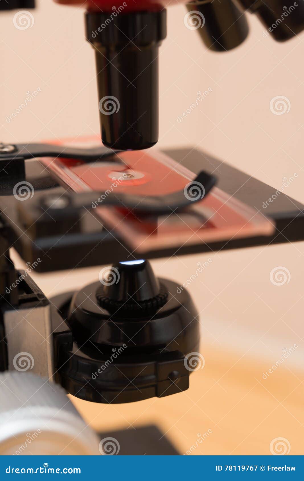 Microscope for Kid To Research the Nature Stock Image - Image of ...