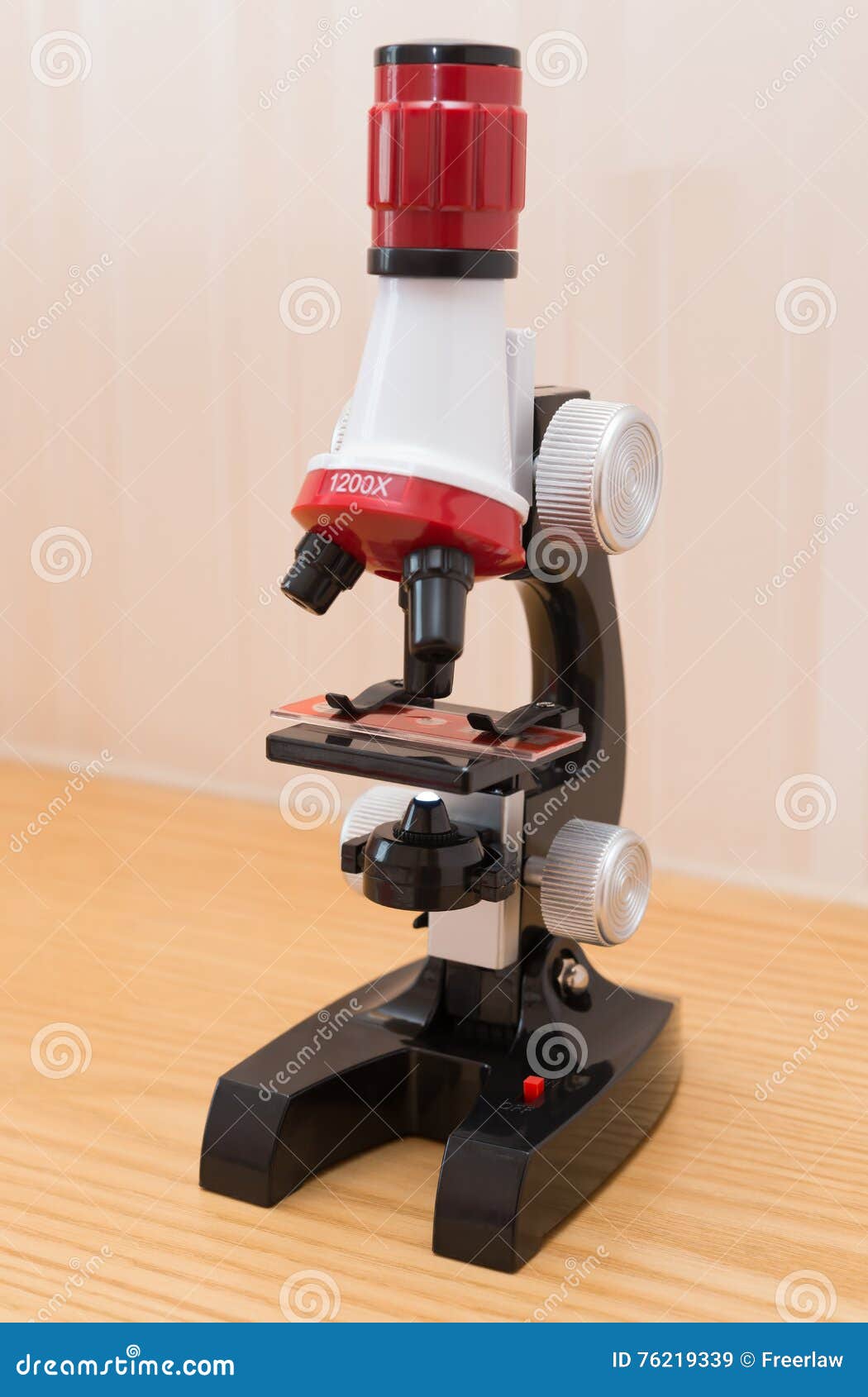 The Art Of Nature Microscope View Of Bacillus And Other Bacteria ...