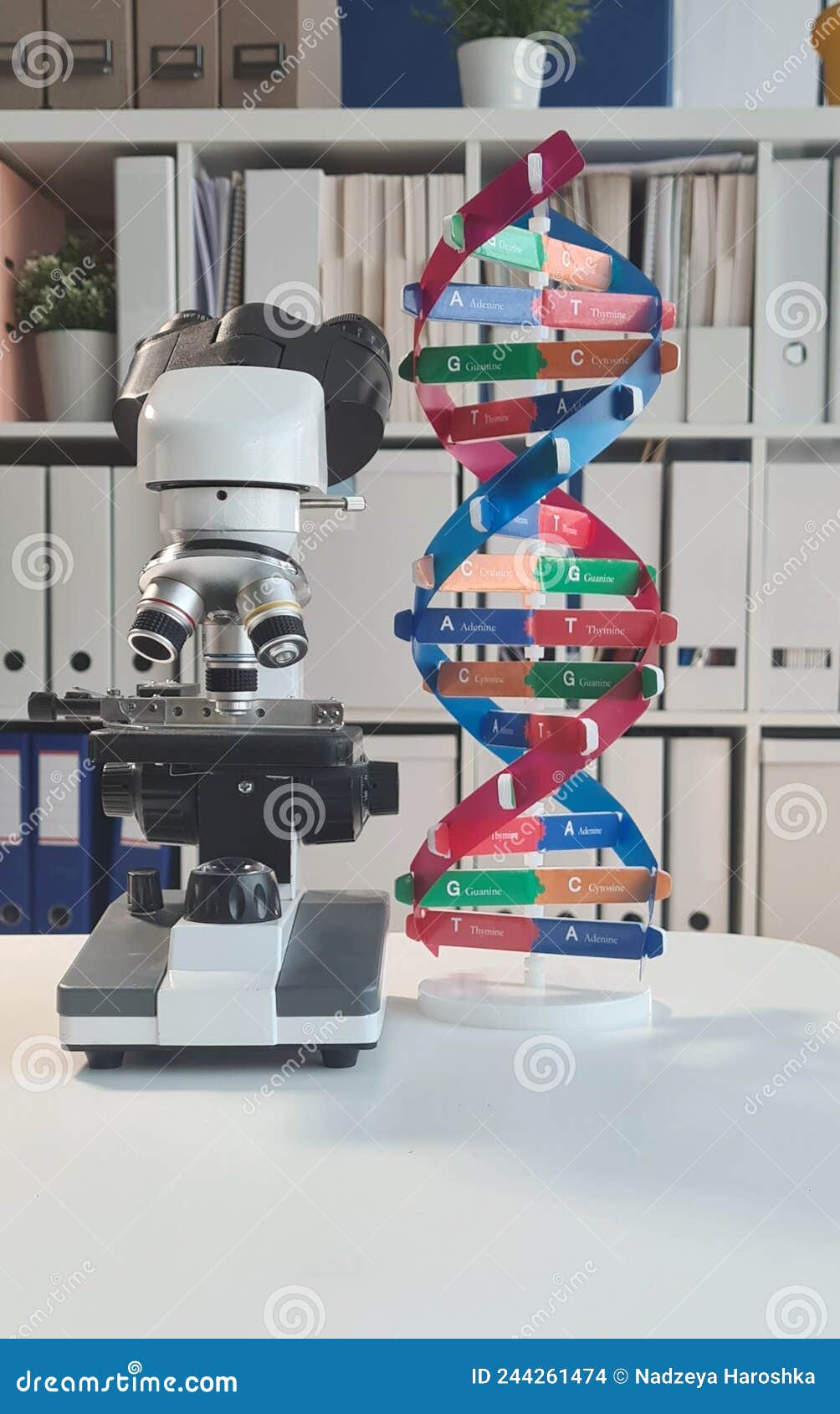Microscope and Laboratory Research of Dna Closeup Stock Photo - Image ...