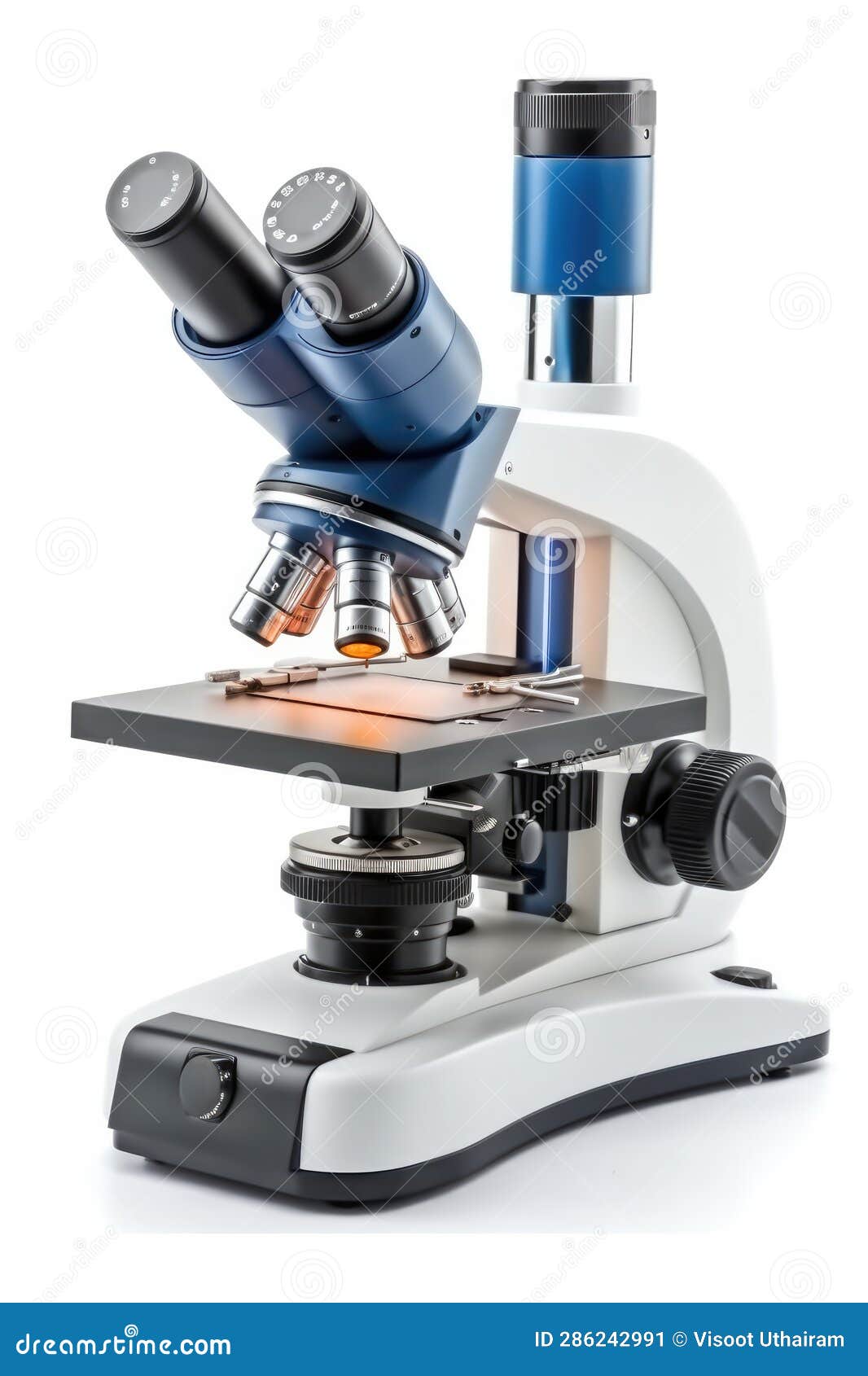 Laboratory Microscopy Of Entamoeba Histolytica Cellular Biology ...