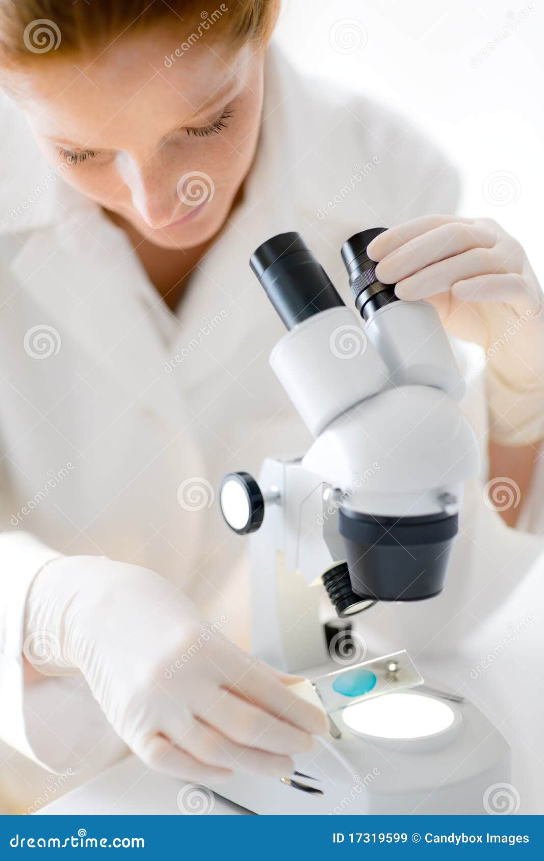 Microscope Laboratory - Woman Medical Research Stock Image - Image of ...