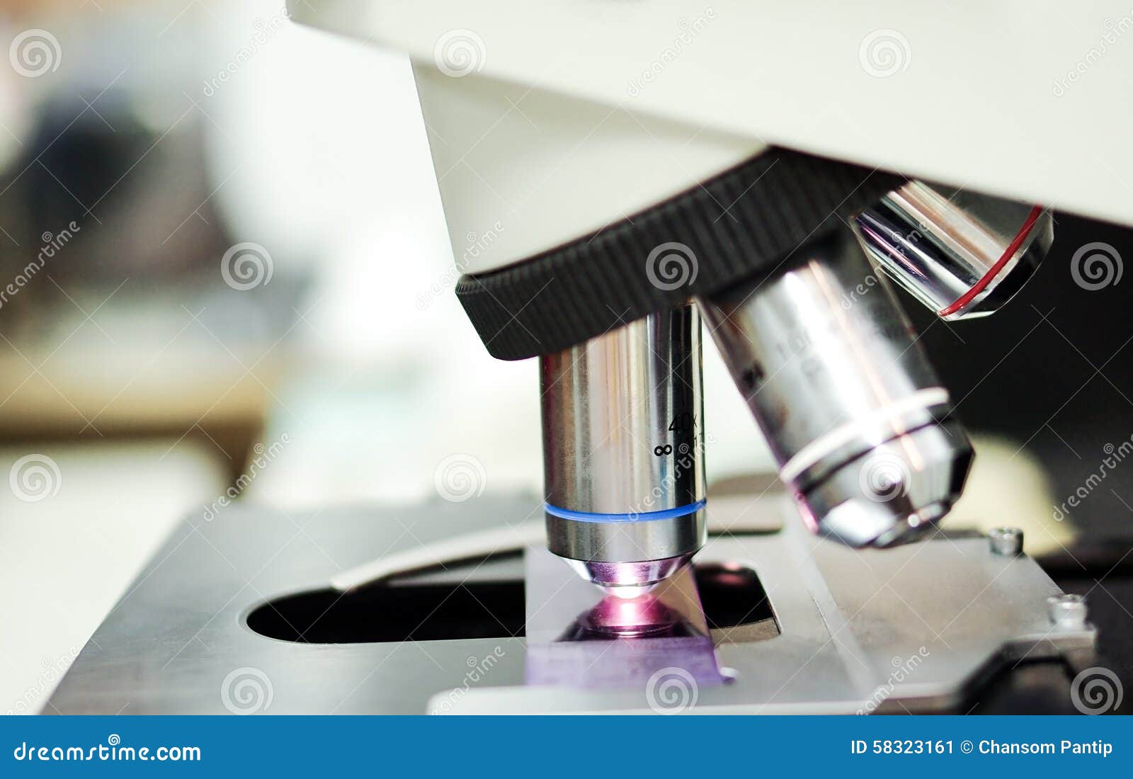 Microscope Lense on Wright-Giemsa Stained Slide Stock Image - Image of ...