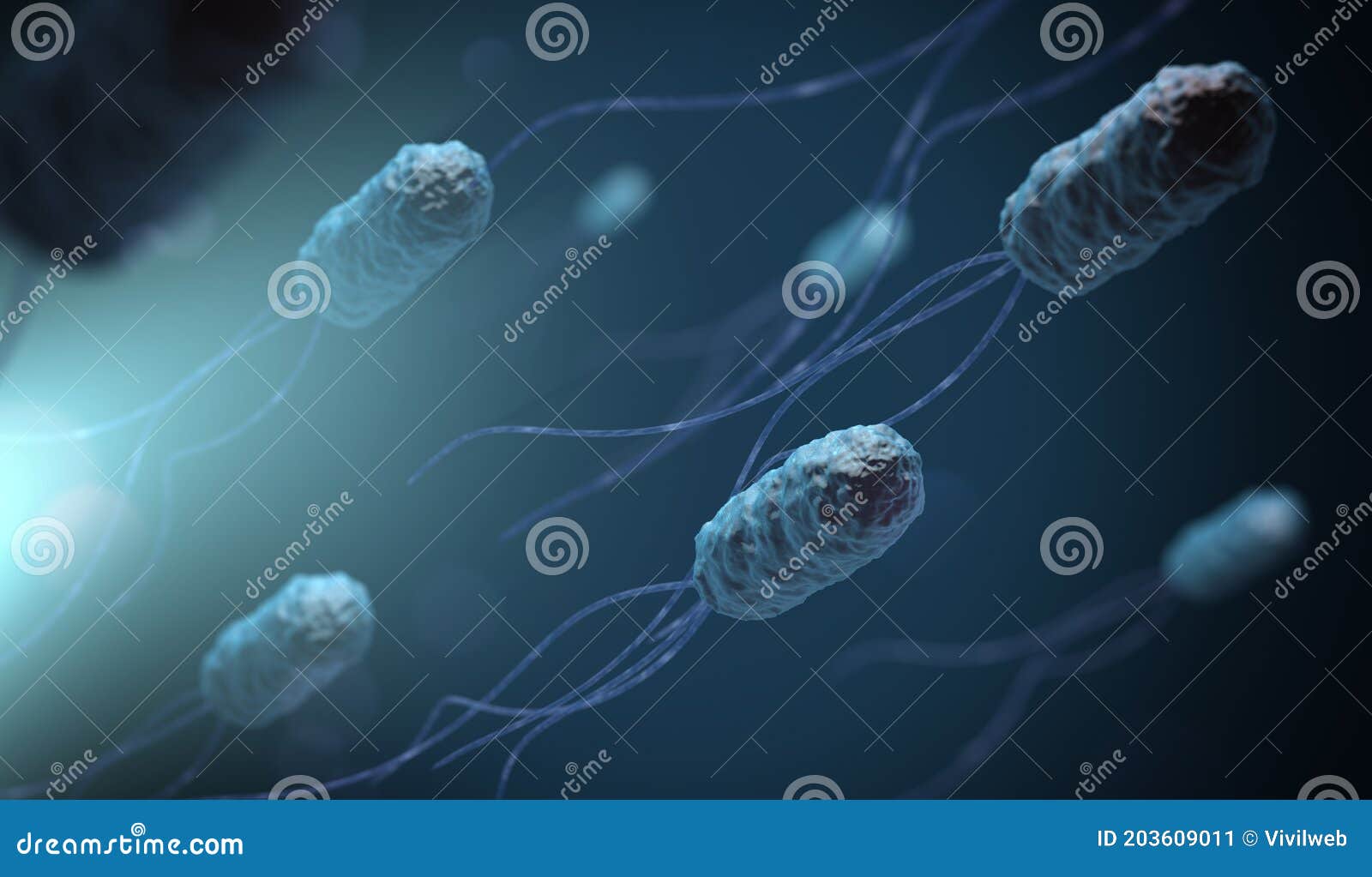 Microscope Magnification of Blue Bacteria Stock Illustration ...