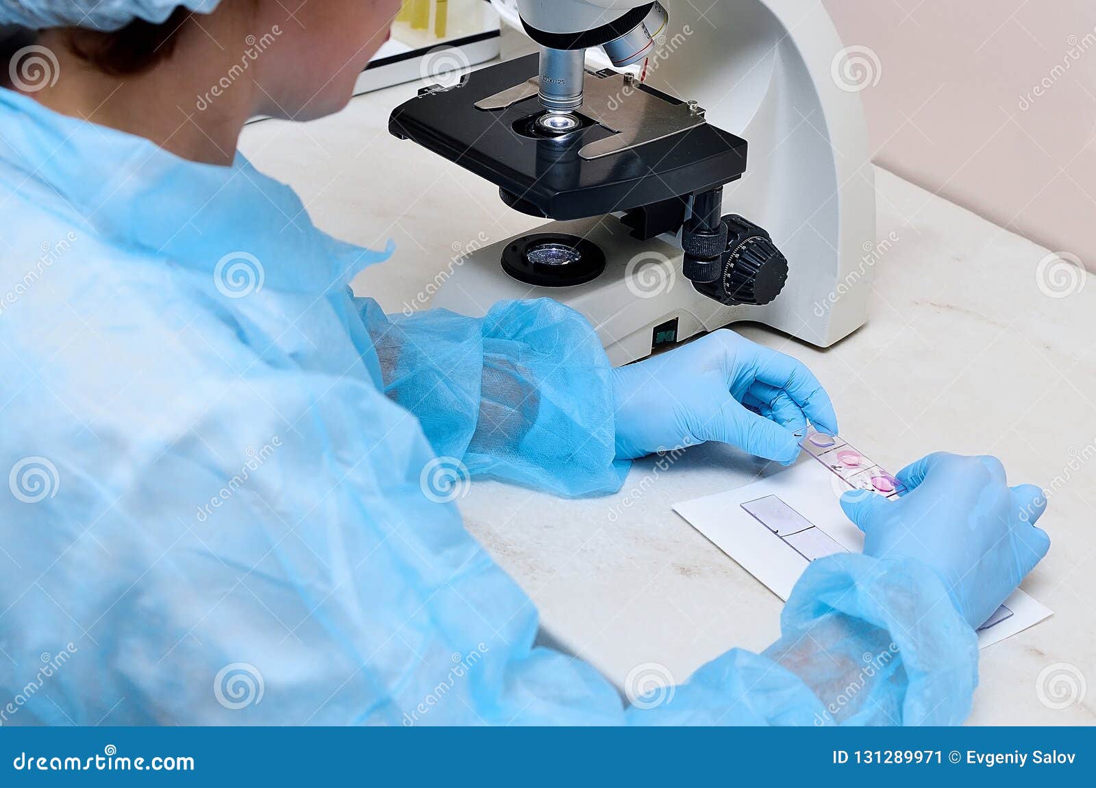 Microscope. Microbiological Laboratory. Mold and Fungal Cultures ...