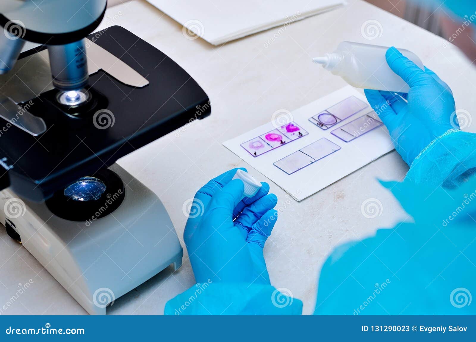 Microscope. Microbiological Laboratory. Mold and Fungal Cultures ...