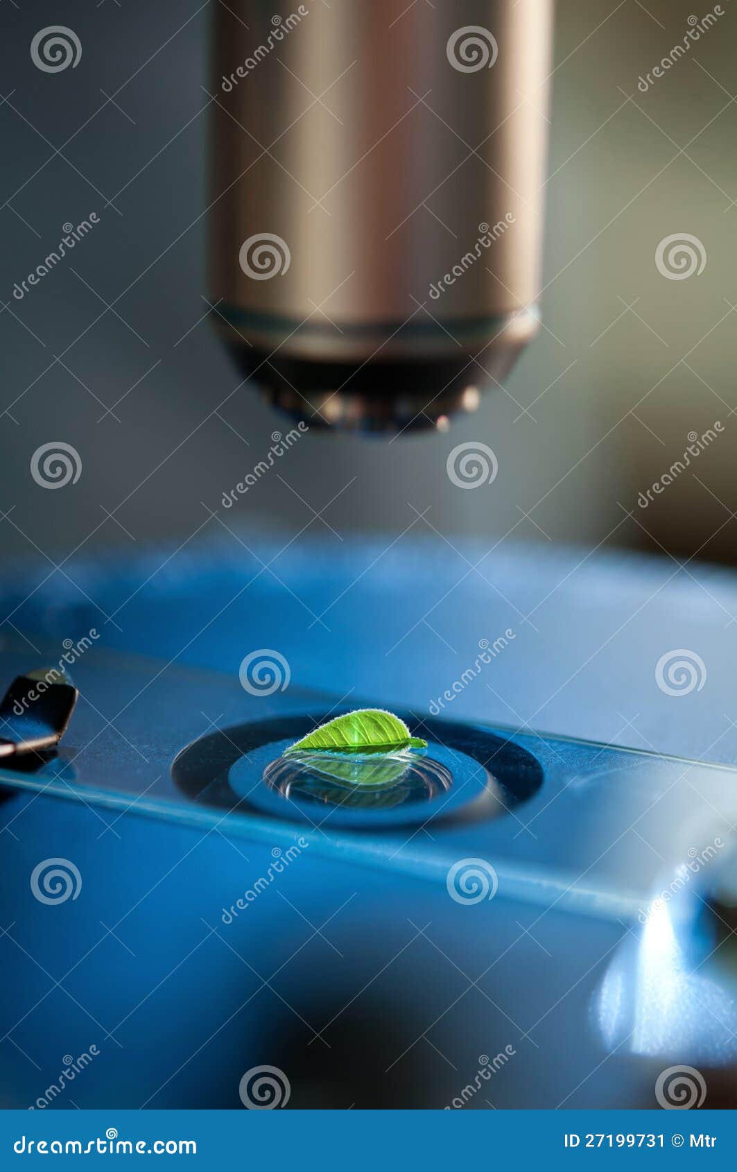 Microscope and nature stock image. Image of flask, fluid - 27199731