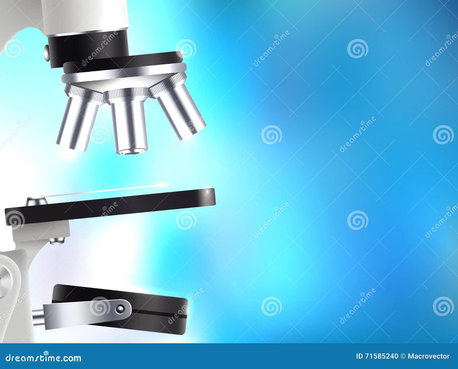 Objective Lenses Of A Microscope, Light Microscope Stage And Lenses ...