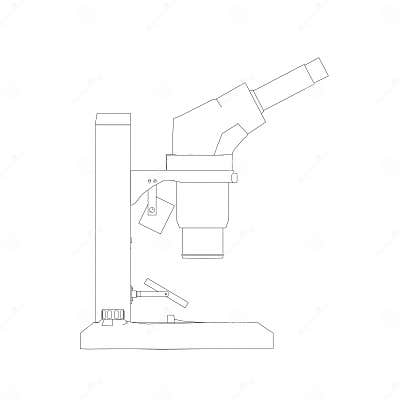 Microscope Outline from Black Lines Isolated on White Background. Side ...