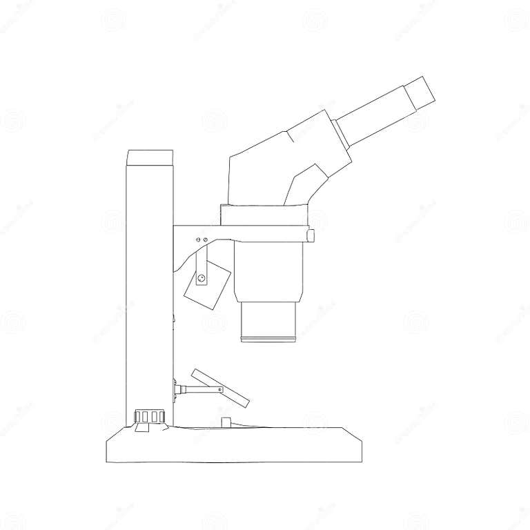Microscope Outline from Black Lines Isolated on White Background. Side ...