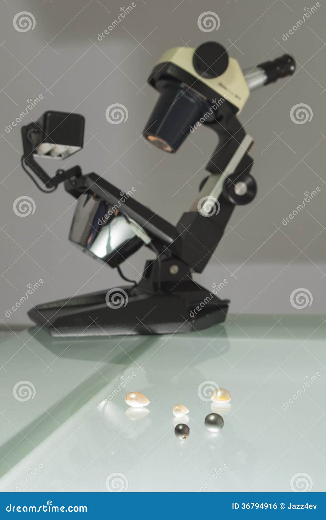 Microscope and pearls stock photo. Image of shell, laboratory - 36794916