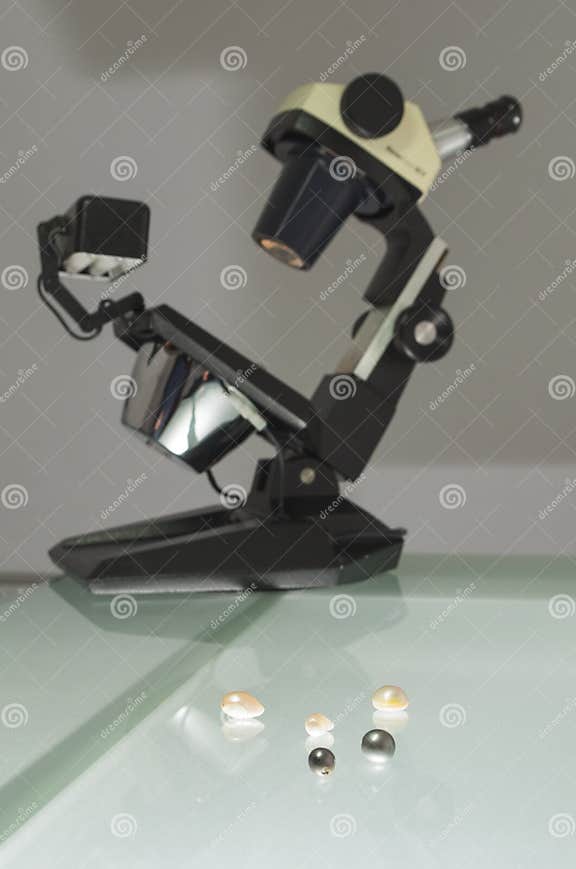 Microscope and pearls stock photo. Image of shell, laboratory - 36794916