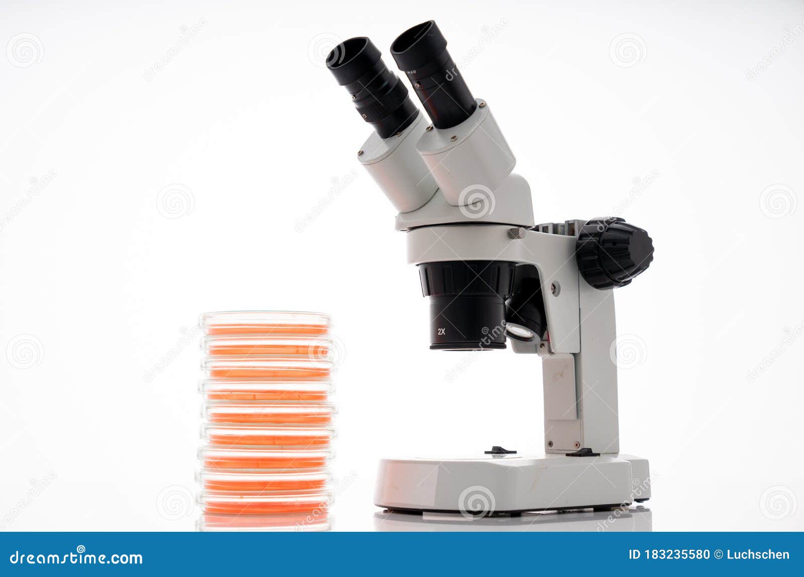 Microscope, Petri Dishes in Microbiological Laboratory Stock Photo ...