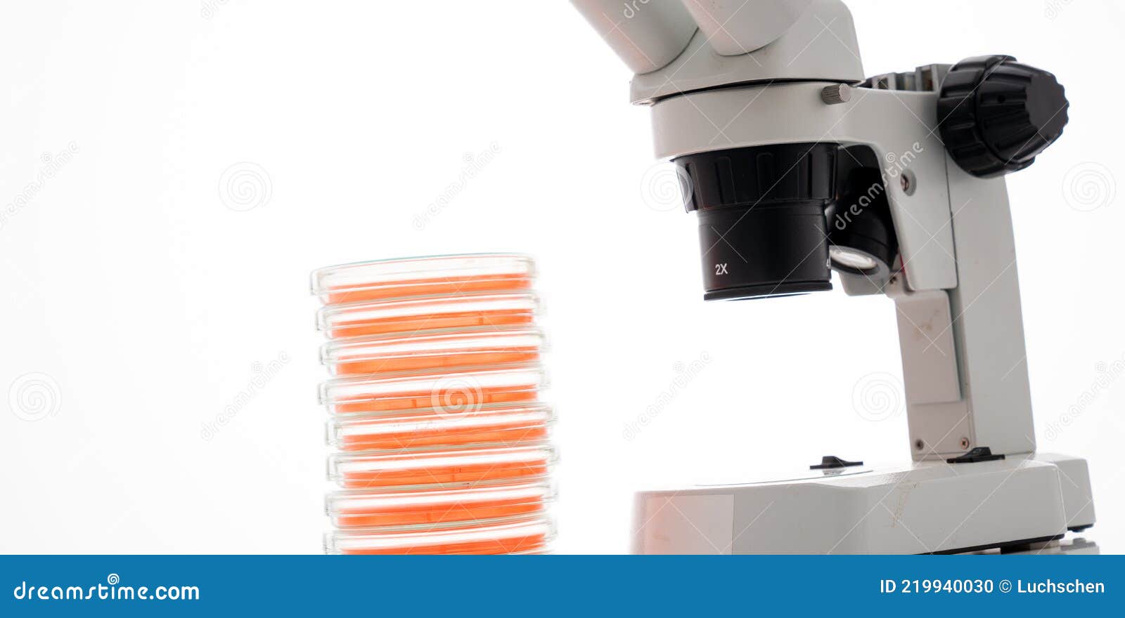 Microscope, Petri Dishes in Microbiological Laboratory Stock Photo ...