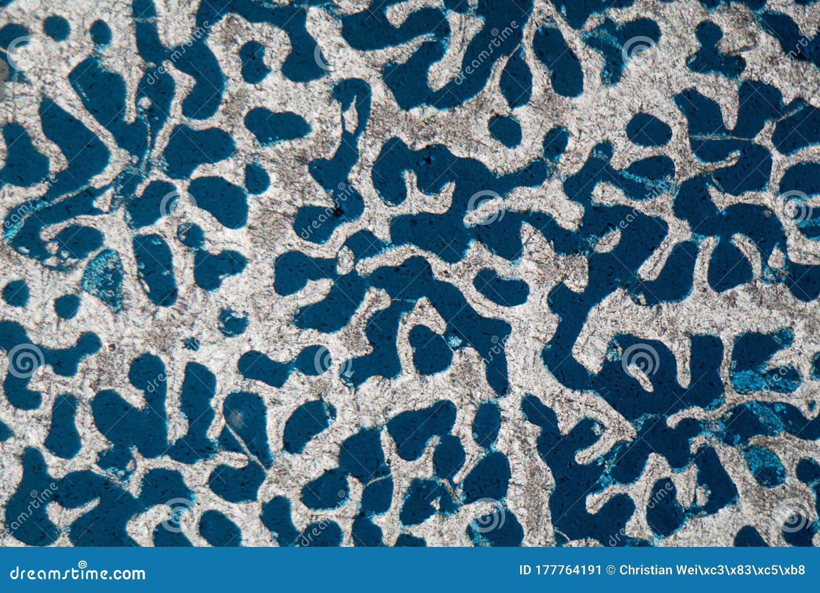 Microscope Photo of a Petrographic Thin Section from a Recent Coral ...