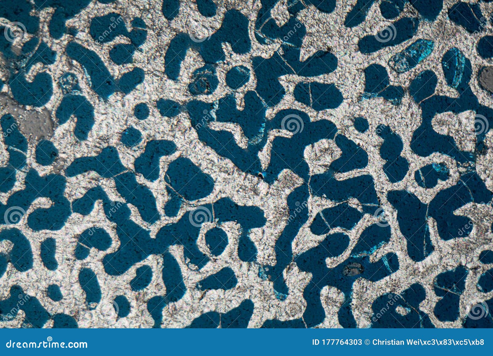 Microscope Photo of a Petrographic Thin Section from a Recent Coral ...