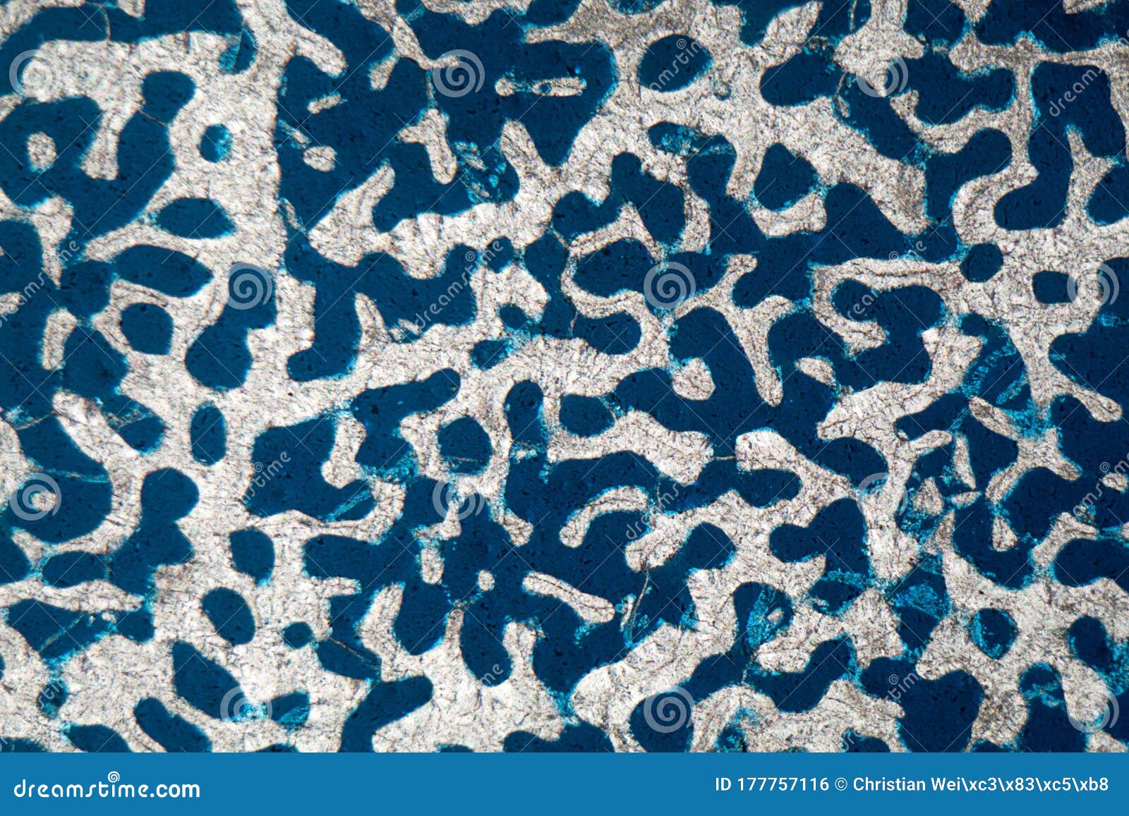 Microscope Photo of a Petrographic Thin Section from a Recent Coral ...
