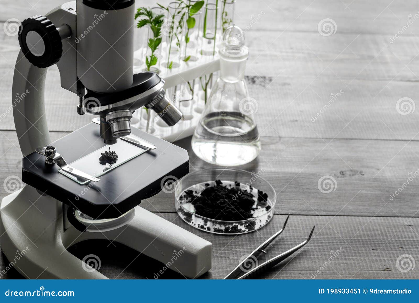 Microscope and Plants on a Table in Scientific Laboratory. Agriculture ...