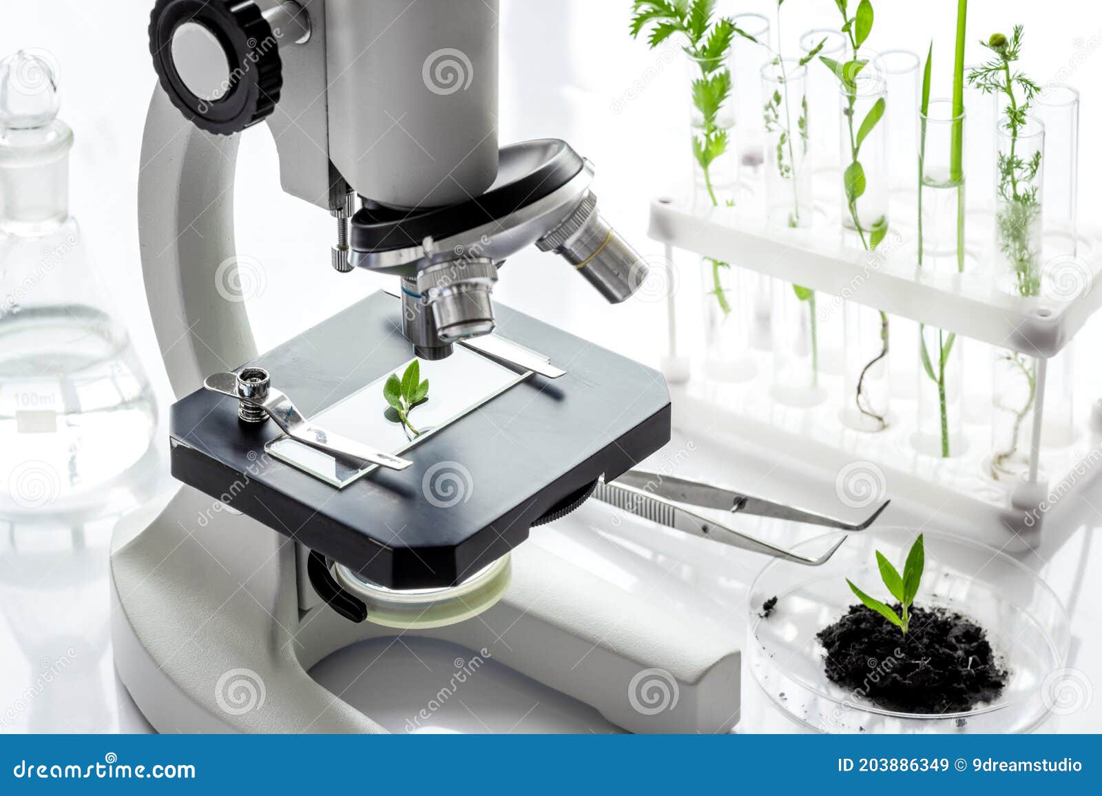 Microscope and Plants on a Table in Scientific Laboratory. Agriculture ...