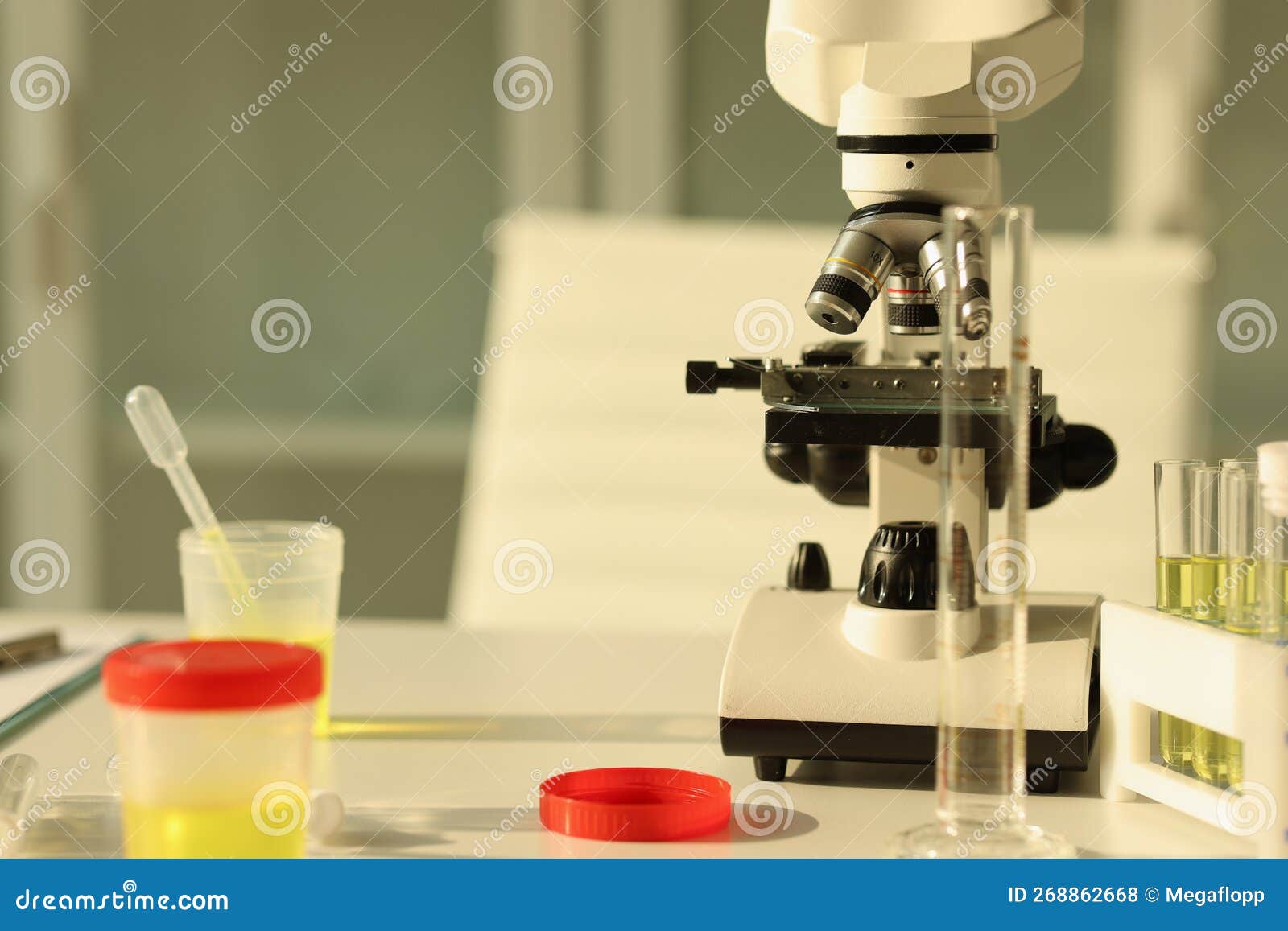 Microscope, Reagents and Test Tubes with Chemical Solutions on ...