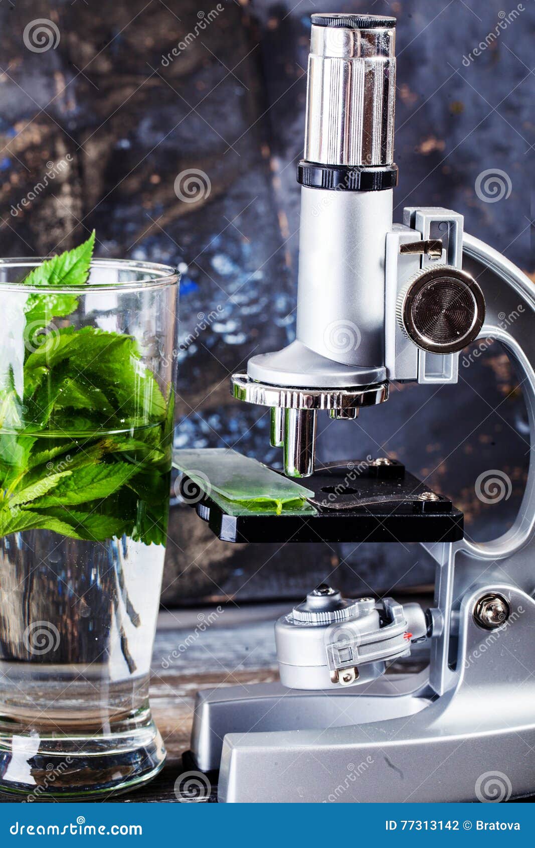 Microscope Research Science Scientist Study Analysis Analyzing Biology ...