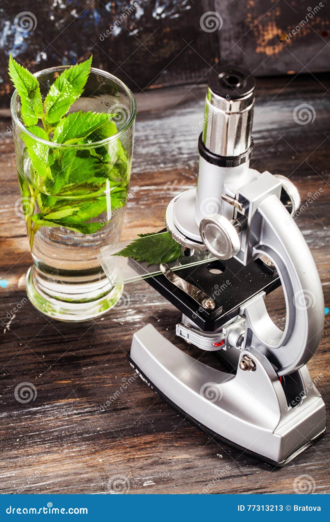 Microscope Research Science Scientist Study Analysis Analyzing Biology ...