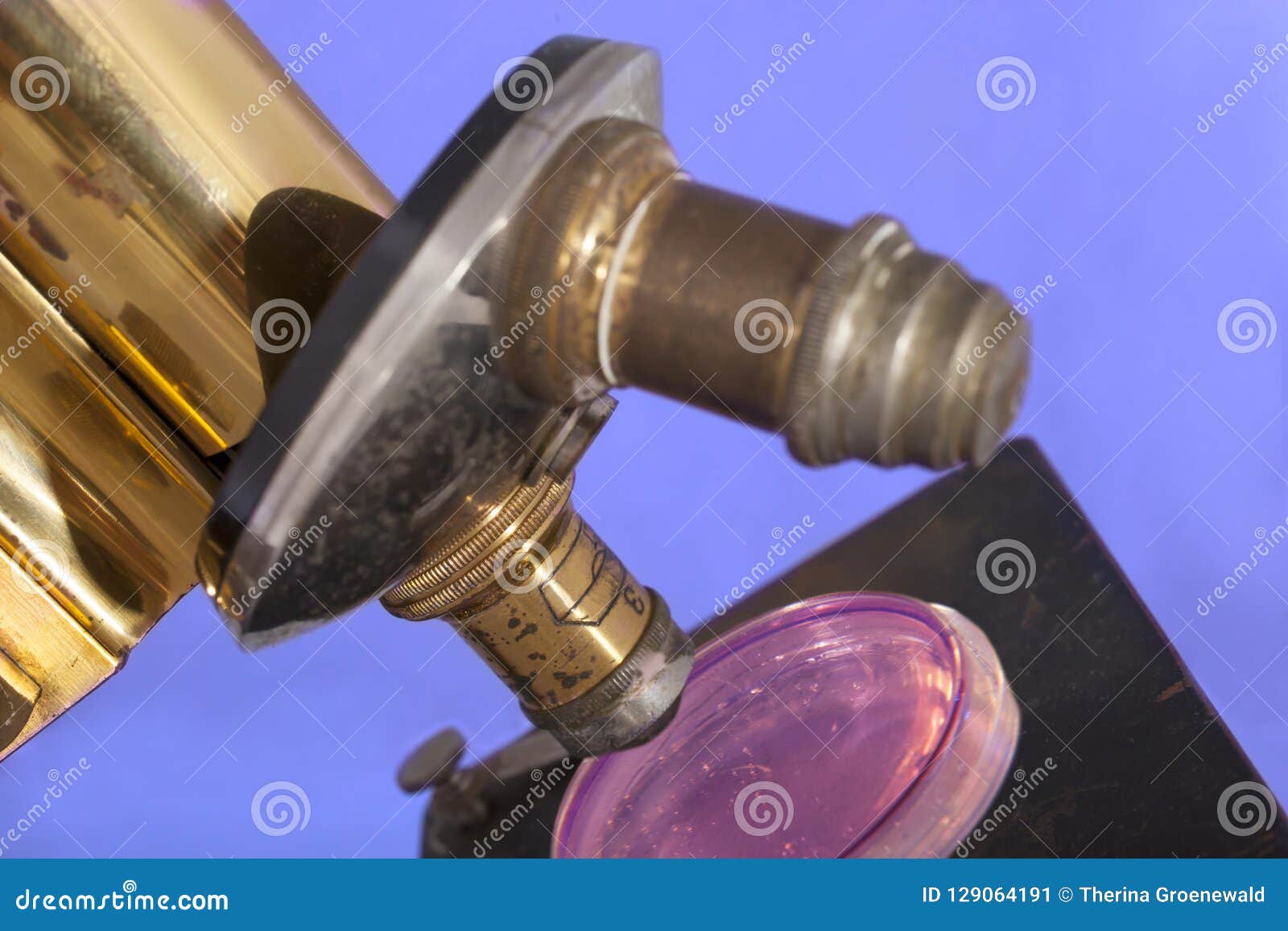 Microscope with sample stock image. Image of laboratory - 129064191