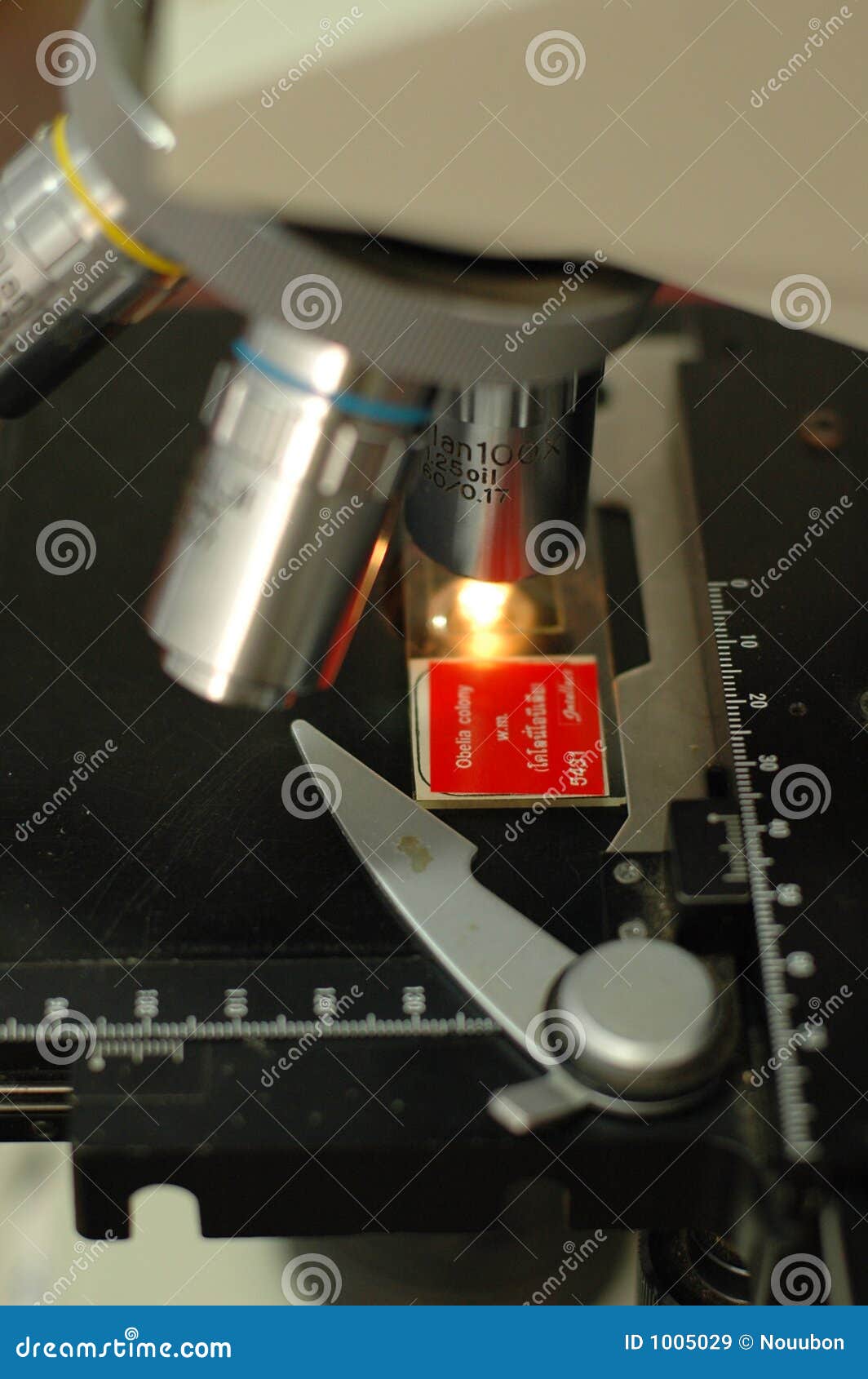 Microscope at Science Class Stock Image - Image of tool, science: 1005029