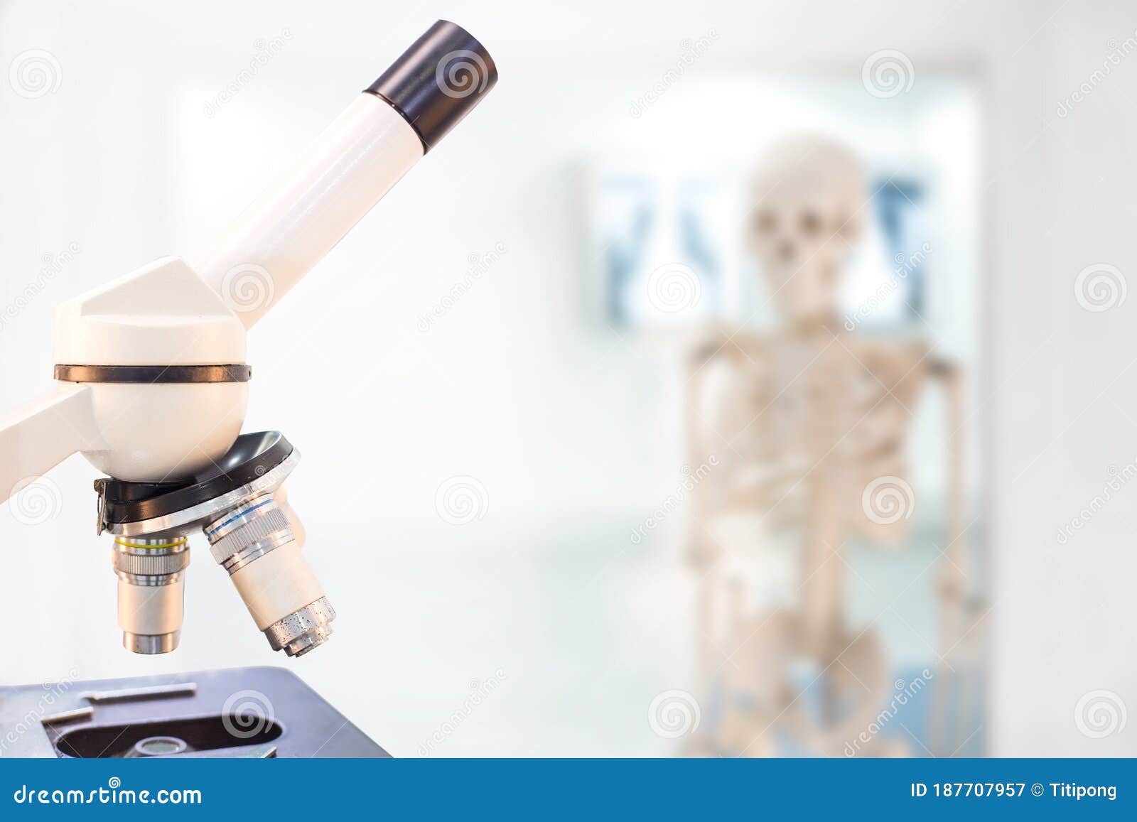 In A Science Lab With A Human Skeleton Stock Image Image Of Black Model 187707957