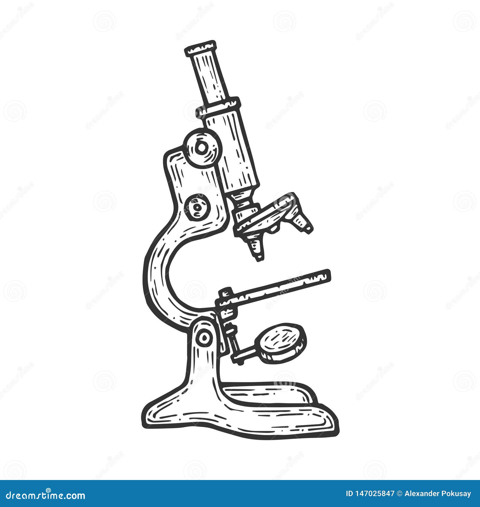 Microscope Sketch Engraving Vector Illustration Stock Vector ...