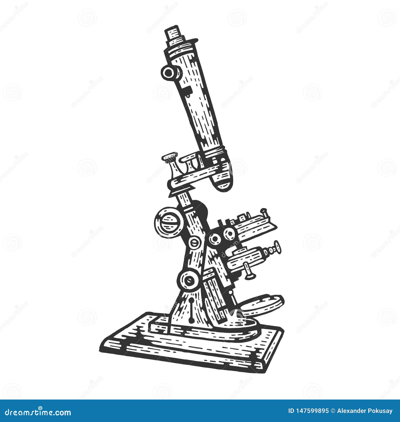 Microscope Sketch Engraving Vector Illustration Stock Vector ...